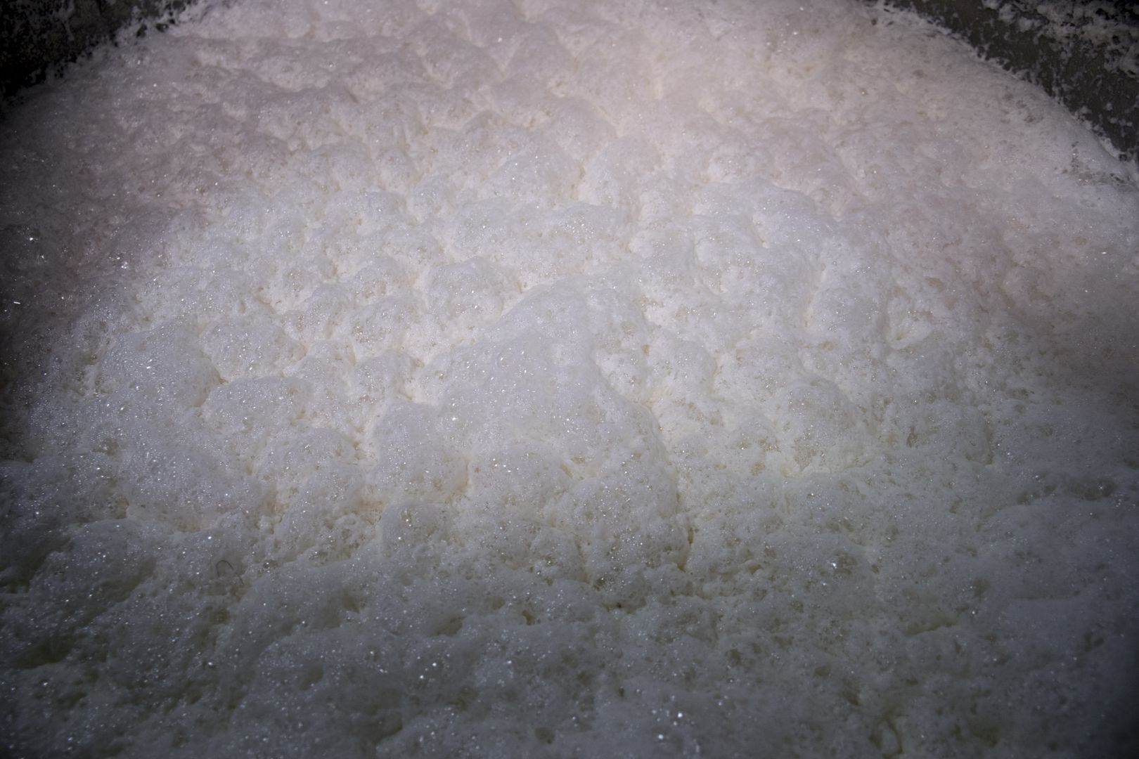 Sake Brewing Process - Takara Sake USA, Inc.