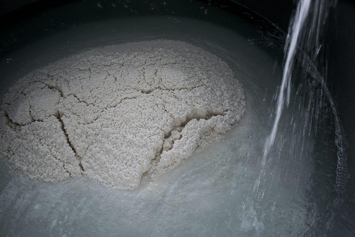 Sake Brewing Process - Takara Sake USA, Inc.