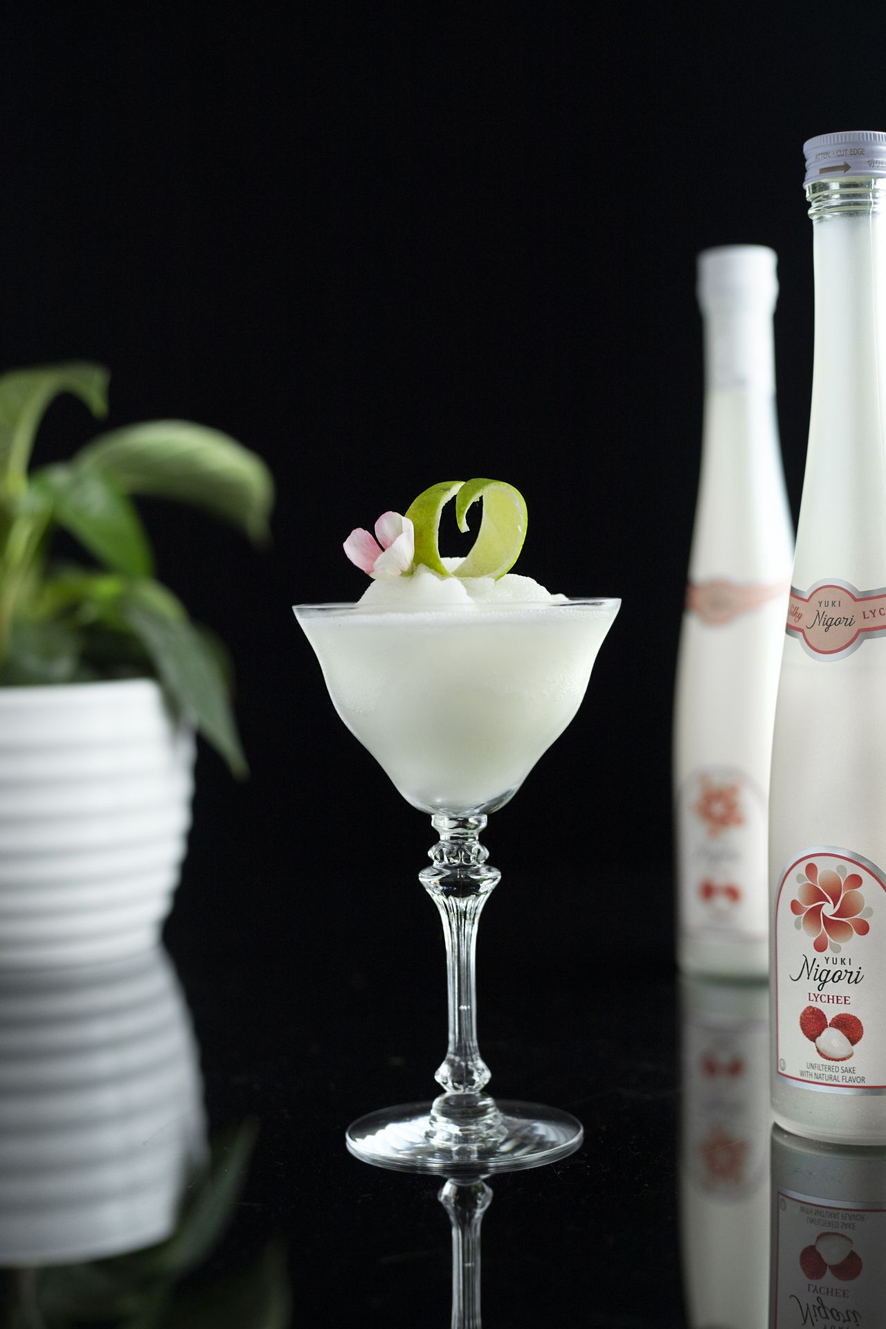 Snow Queen - Takara Sake USA, Inc.